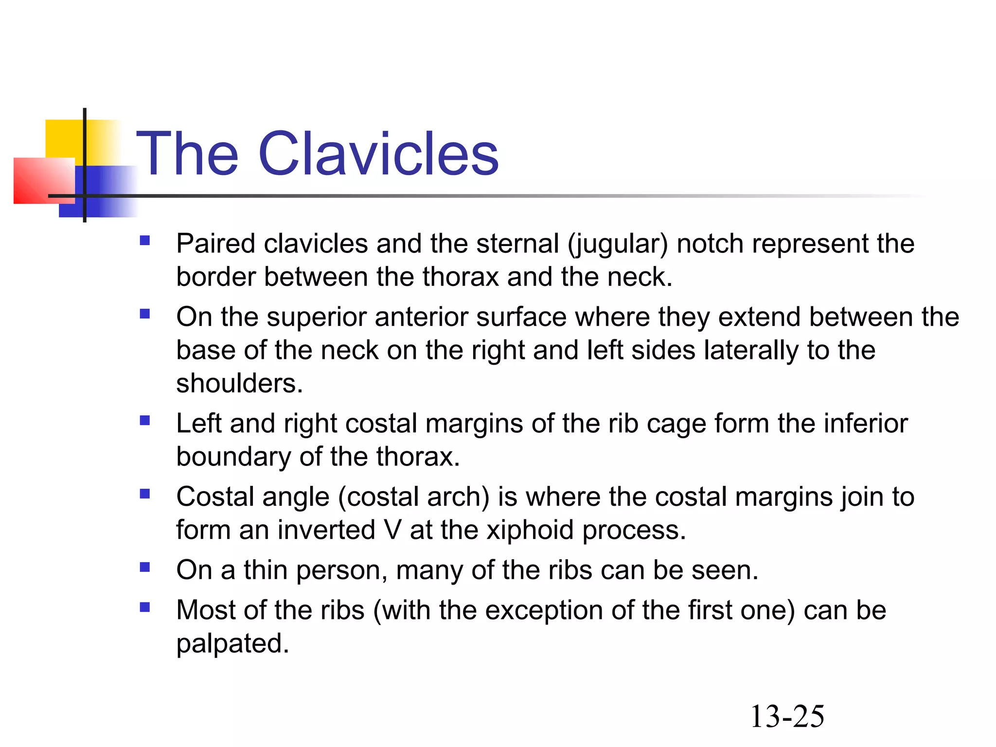 Surface Anatomy | PPT