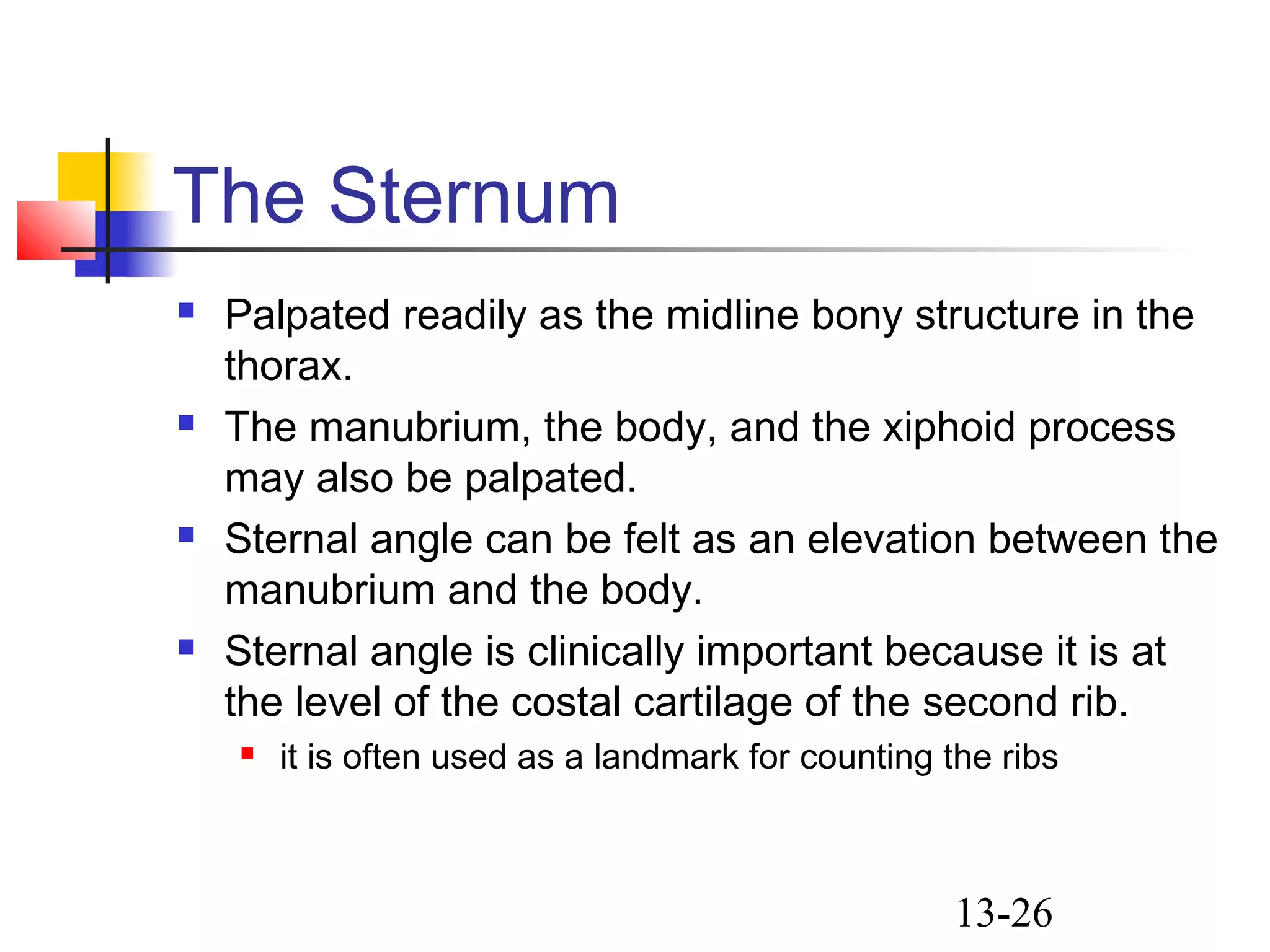 Surface Anatomy | PPT
