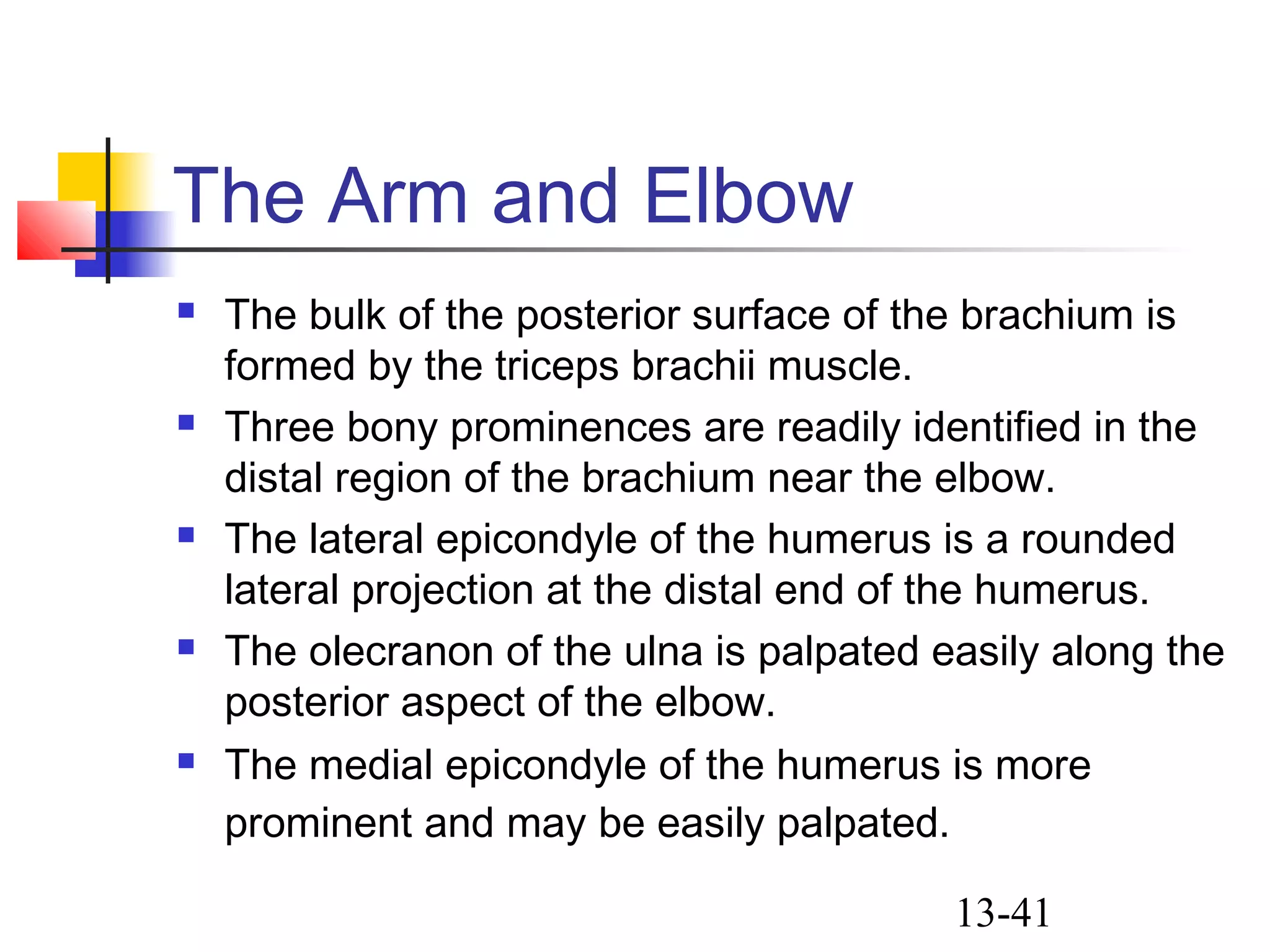 Surface Anatomy | PPT