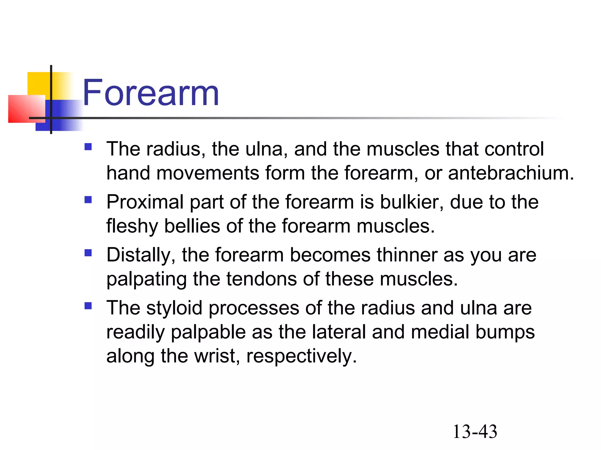 Surface Anatomy | PPT