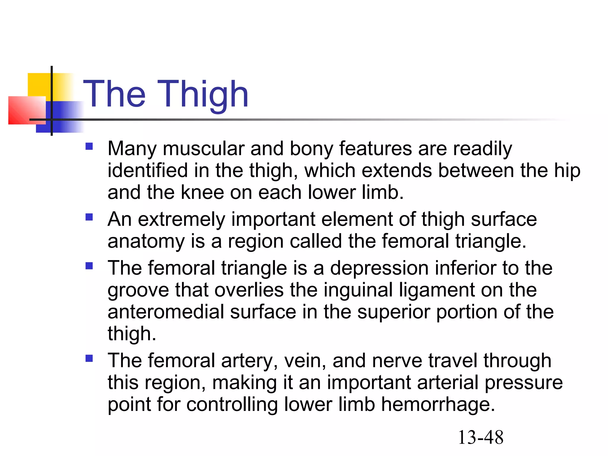 Surface Anatomy | PPT