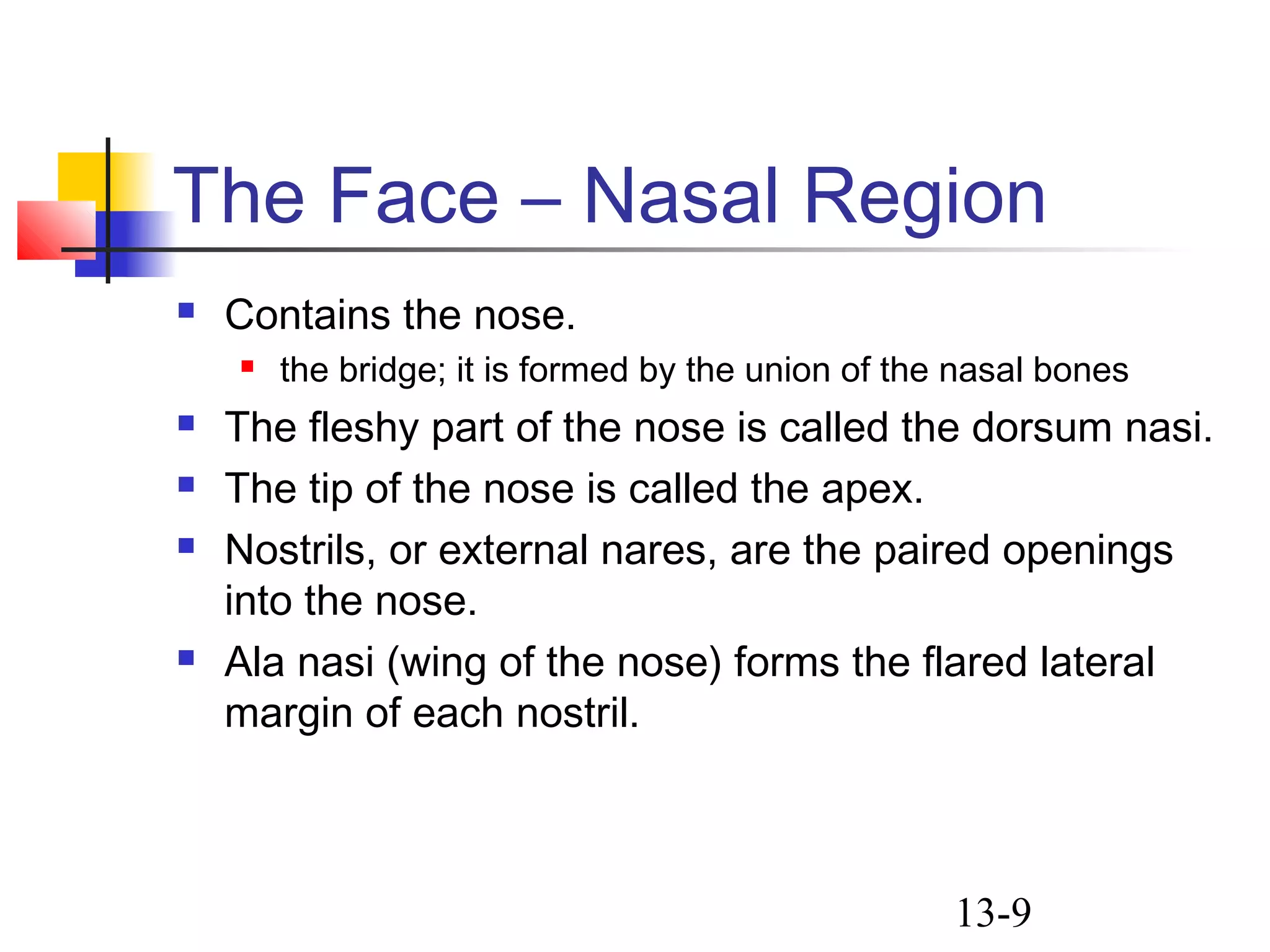 Surface Anatomy | PPT