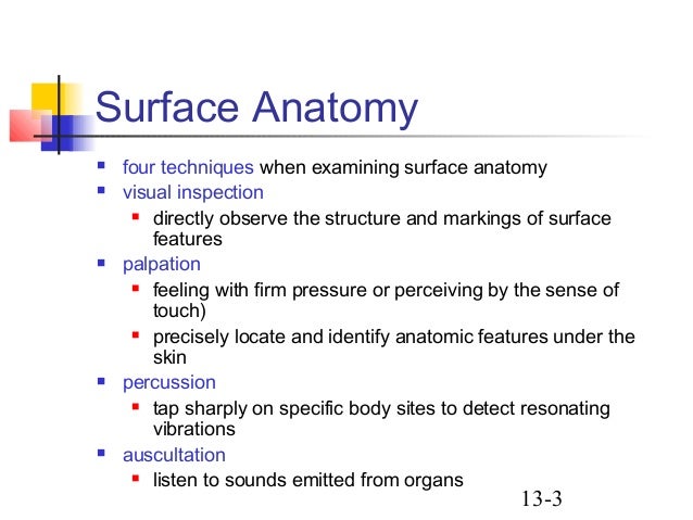 Surface Anatomy