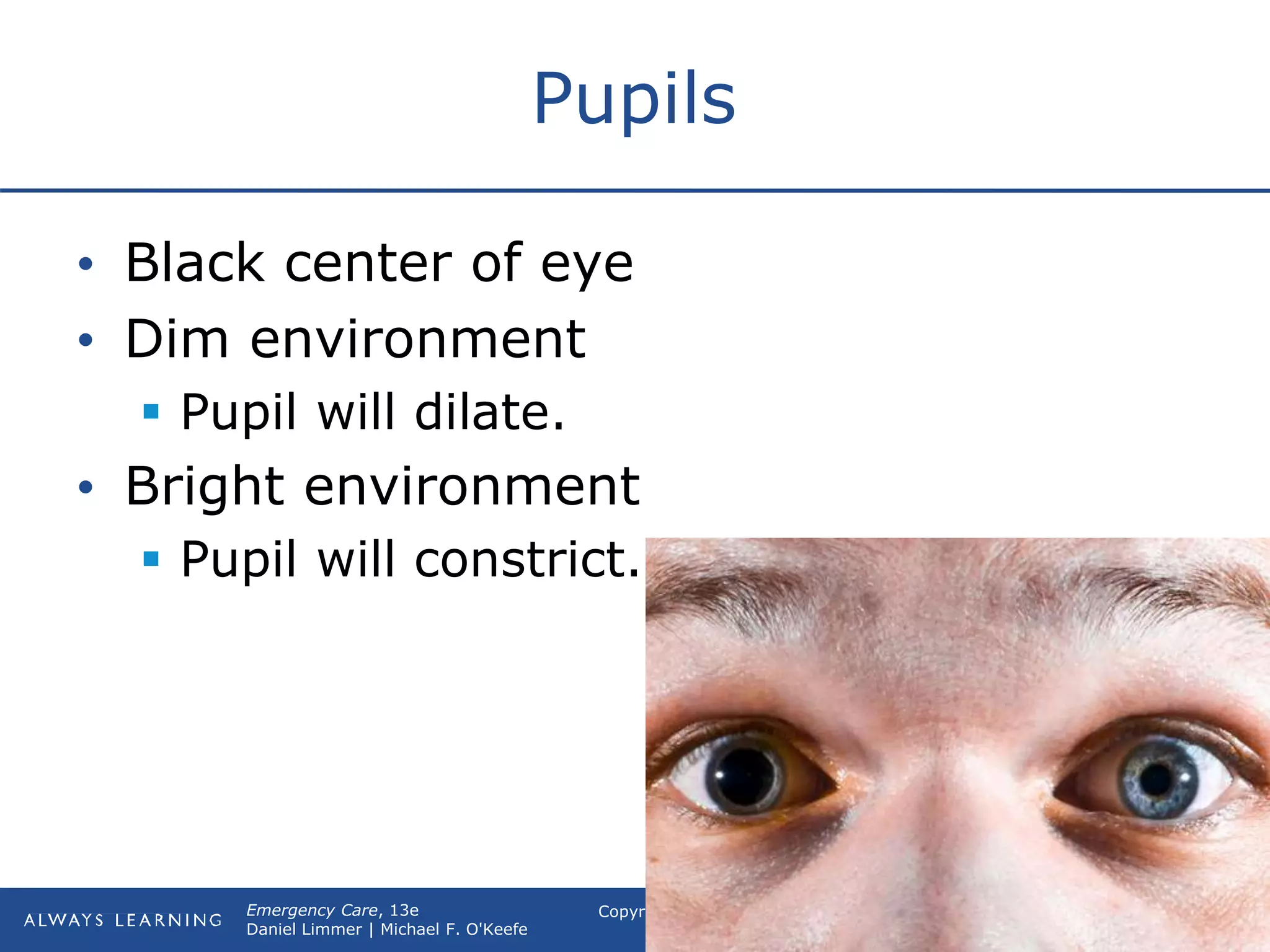 Ch13 vital signs | PPT