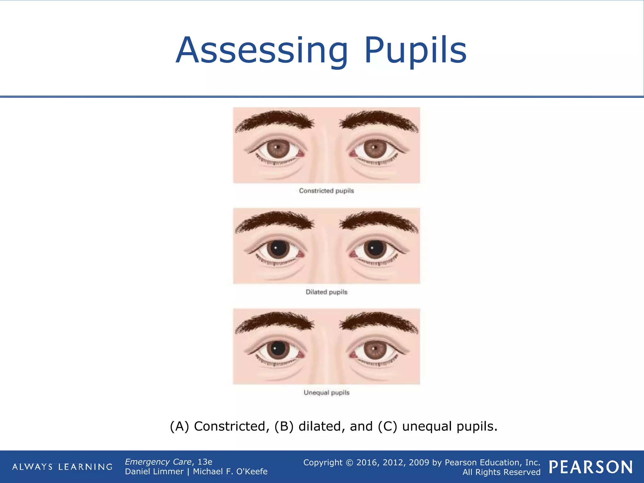 Ch13 vital signs | PPT