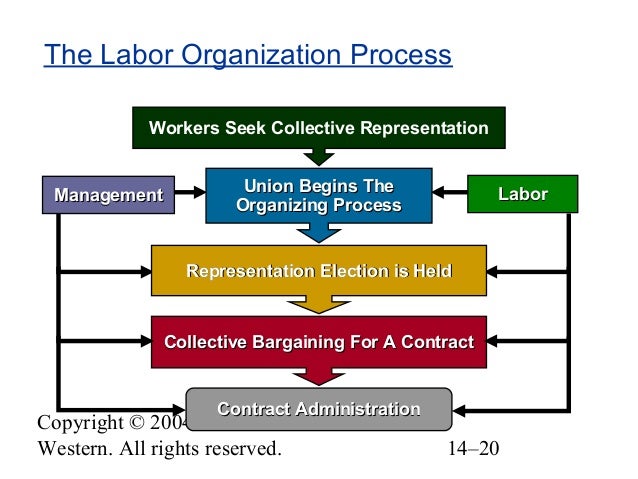 Chapter 14 The Dynamics of Labor Relations