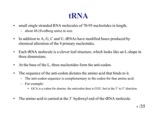 Ch14-2translation.pptx