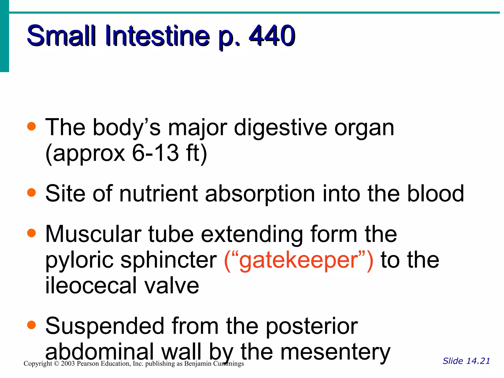 Ch14 Digestive System Overview | PPT