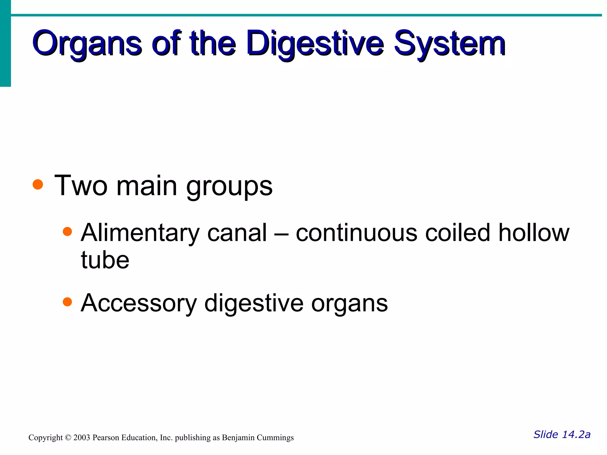 Ch14 Digestive System Overview | PPT