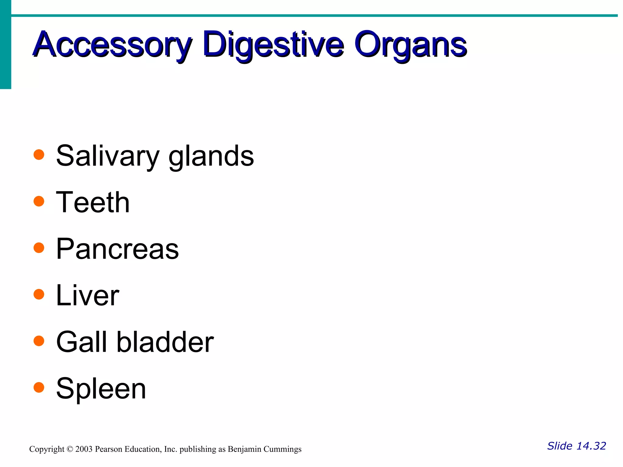 Ch14 Digestive System Overview | PPT