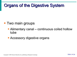 Ch14 Digestive System Overview | PPT