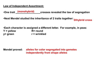 Ch 14 and 15 Genetics notes powerpoint.ppt