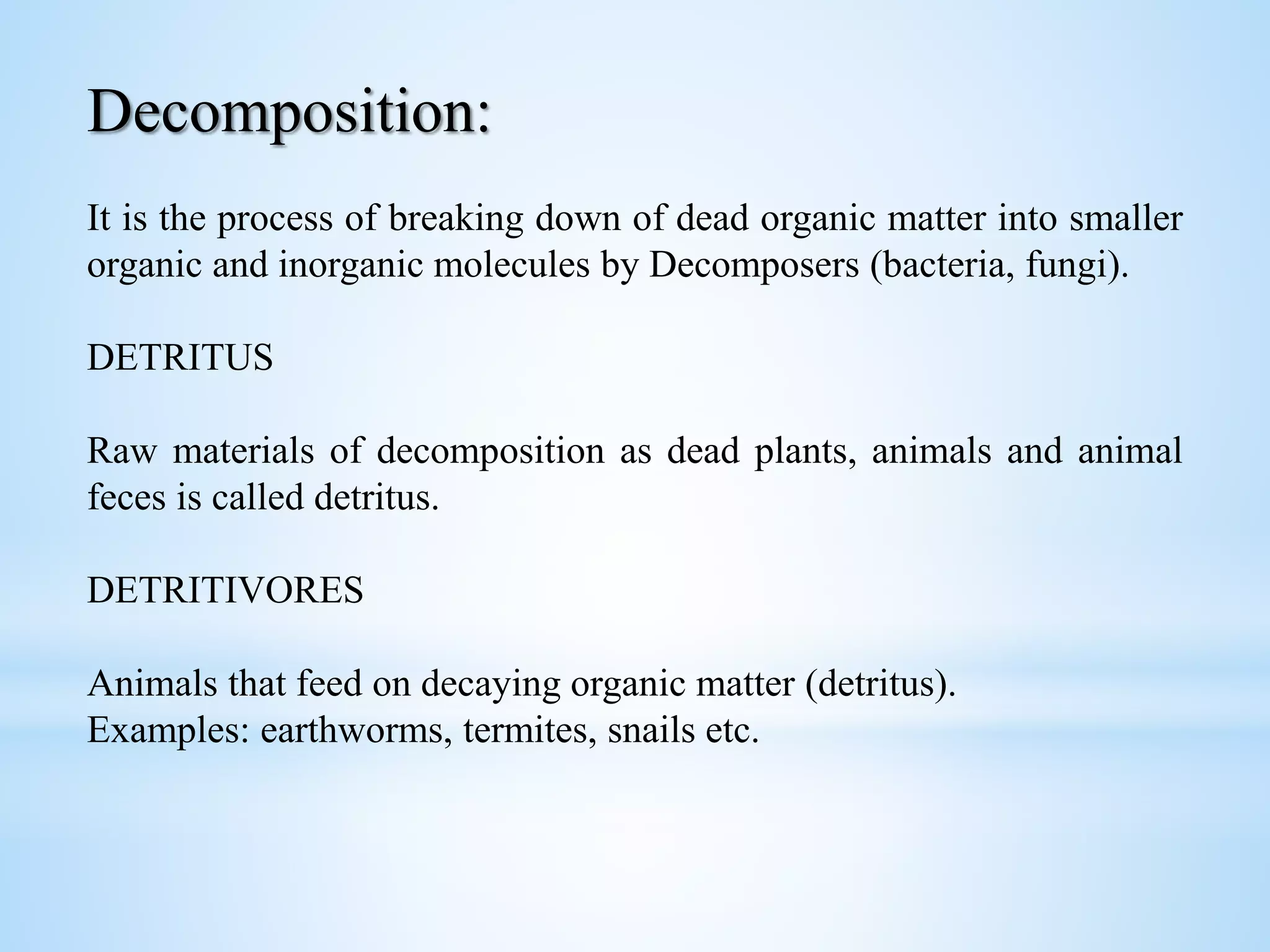 Ch 14 - Ecosystem || Class 12 || | PPTX