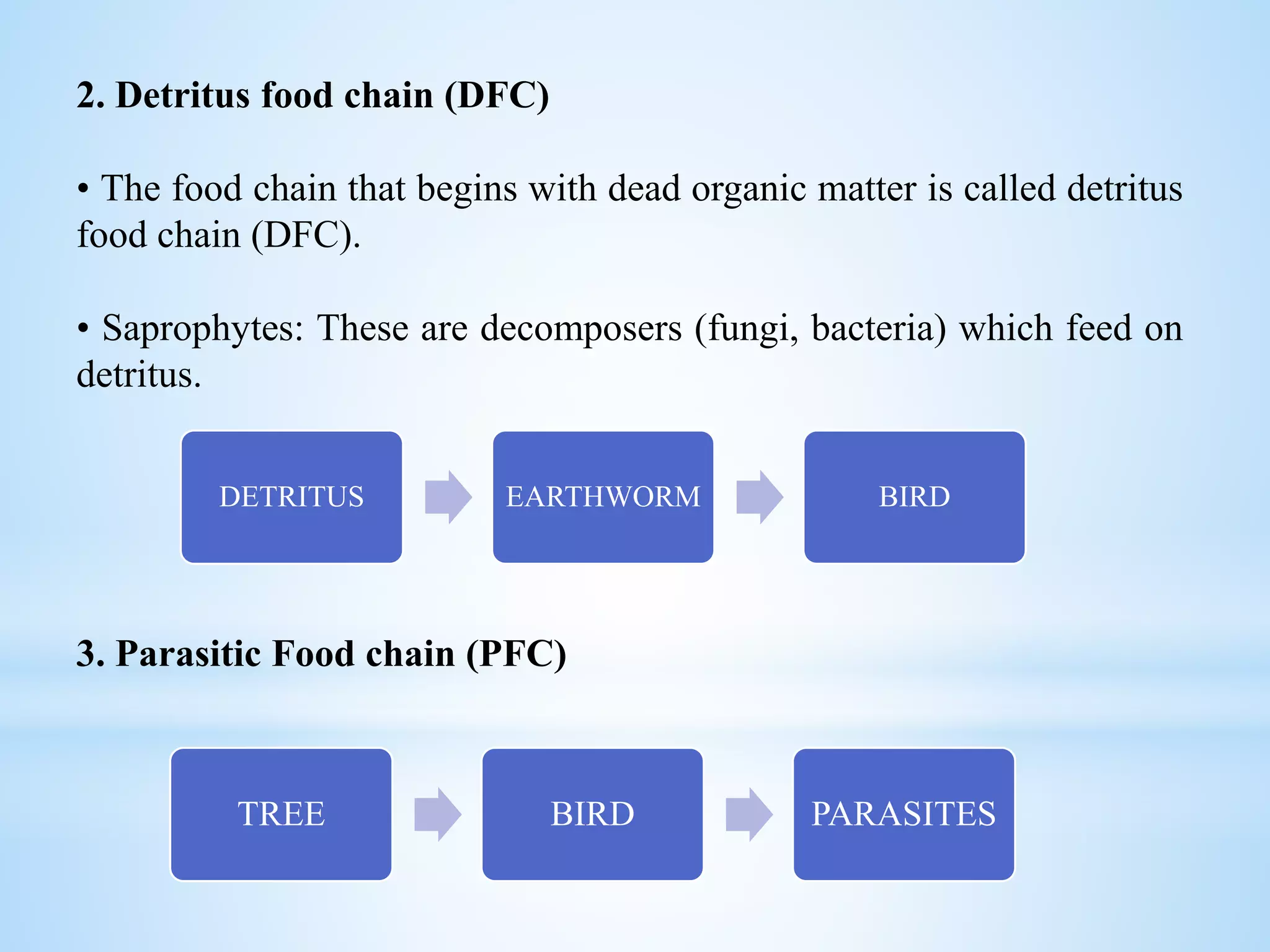 Ch 14 - Ecosystem || Class 12 || | PPTX