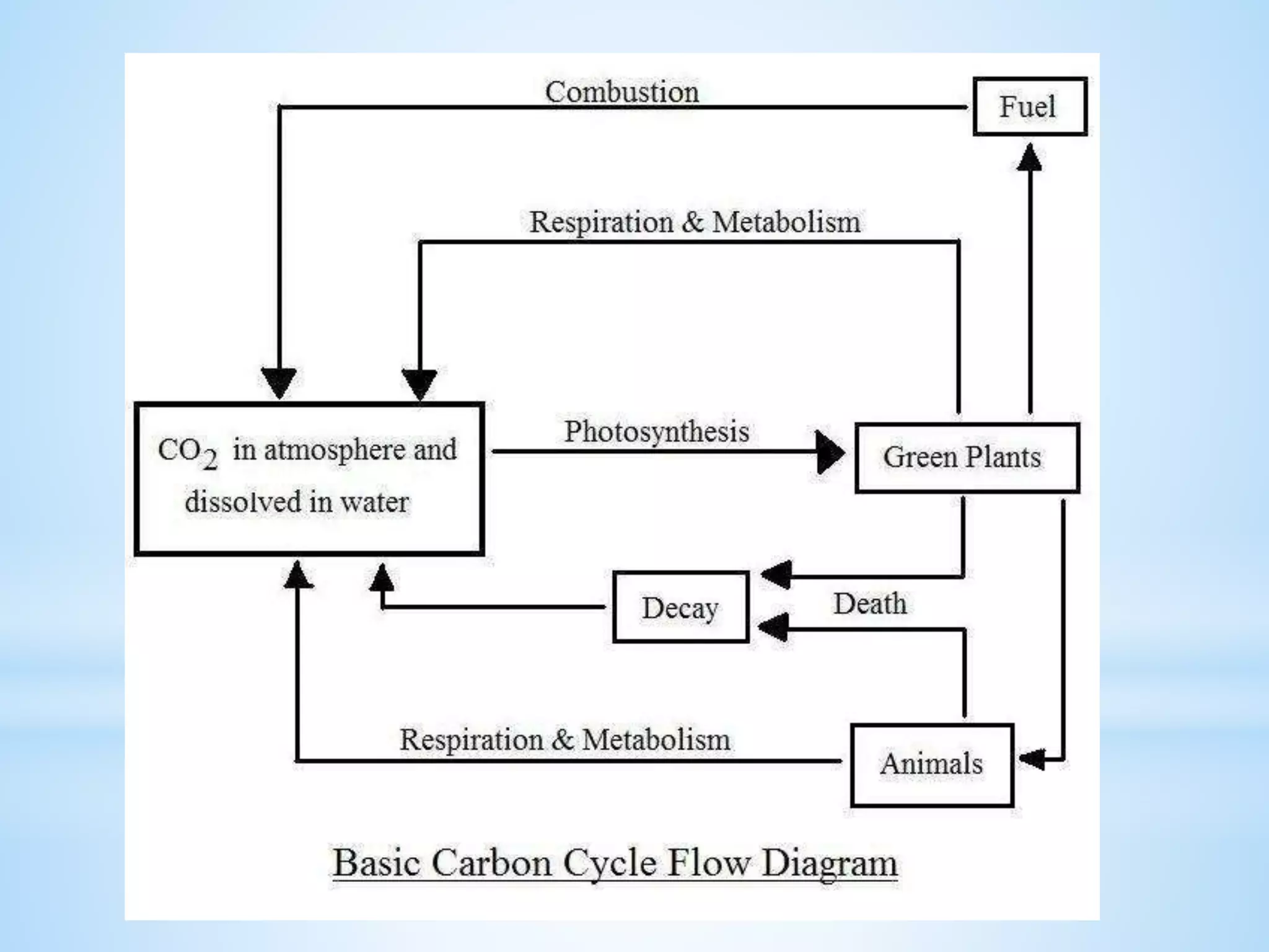 Ch 14 - Ecosystem || Class 12 || | PPTX