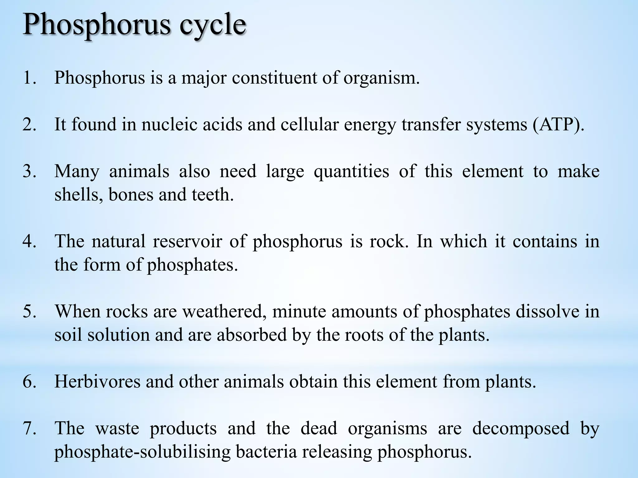 Ch 14 - Ecosystem || Class 12 || | PPTX