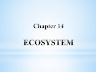 Ch 14 - Ecosystem || Class 12 || | PPTX