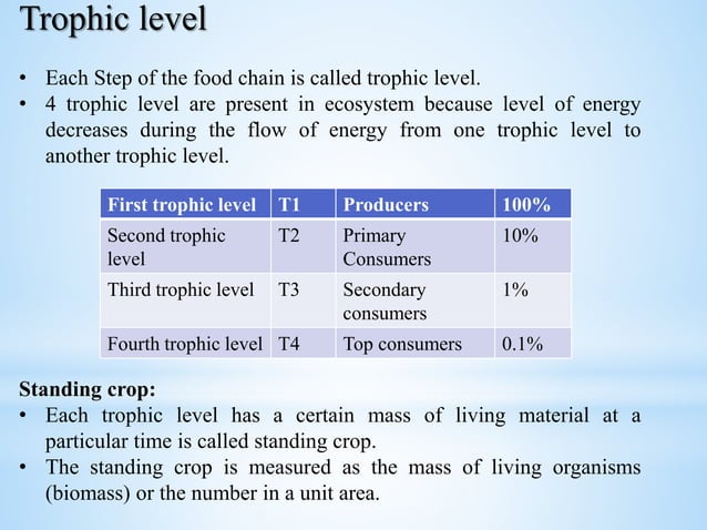Ch 14 - Ecosystem || Class 12 || | PPTX
