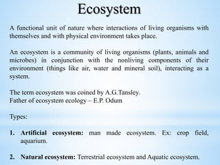 Ch 14 - Ecosystem || Class 12 || | PPTX