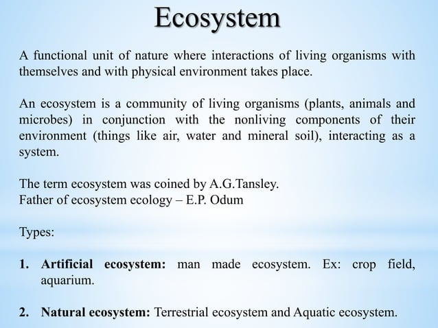 Ch 14 - Ecosystem || Class 12 || | PPTX
