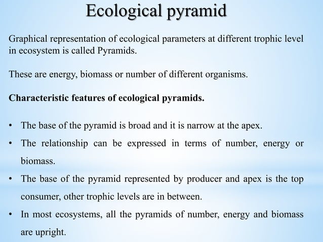 Ch 14 - Ecosystem || Class 12 || | PPTX