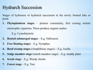 Ch 14 - Ecosystem || Class 12 || | PPTX
