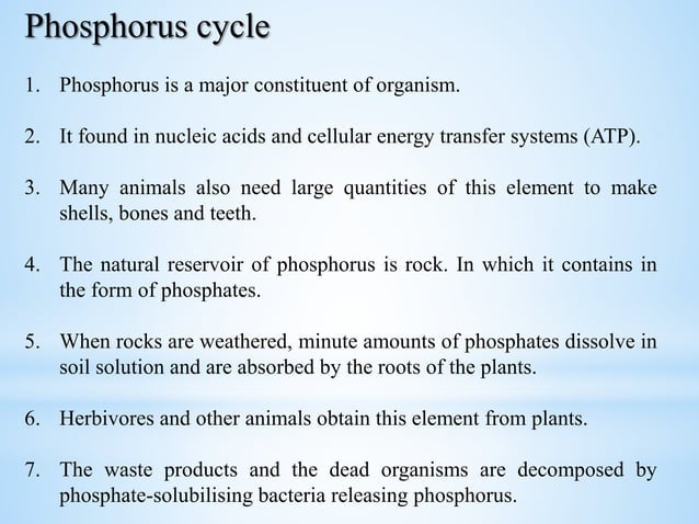 Ch 14 - Ecosystem || Class 12 || | PPTX