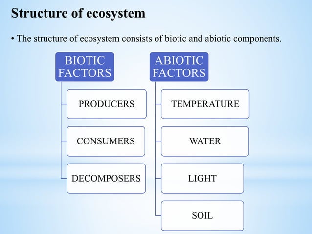 Ch 14 - Ecosystem || Class 12 || | PPTX