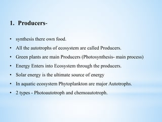 Ch 14 - Ecosystem || Class 12 || | PPTX