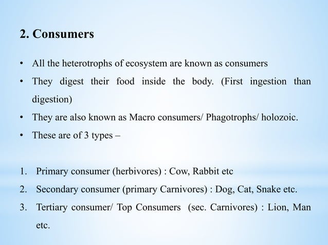 Ch 14 - Ecosystem || Class 12 || | PPTX