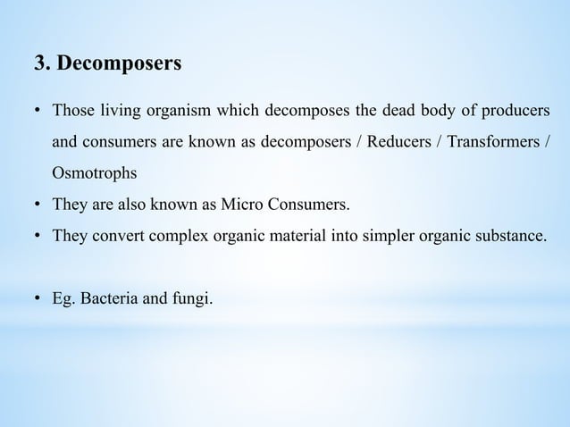 Ch 14 - Ecosystem || Class 12 || | PPTX