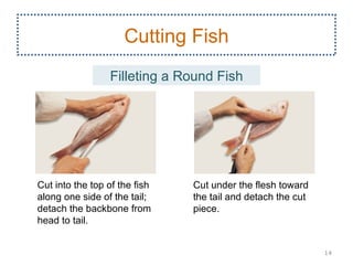 Ch14 fish and shelfish | PPT