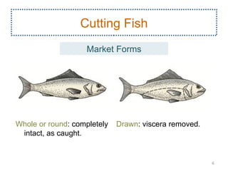 Ch14 fish and shelfish | PPT