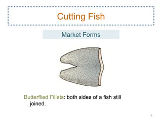 Ch14 fish and shelfish | PPT