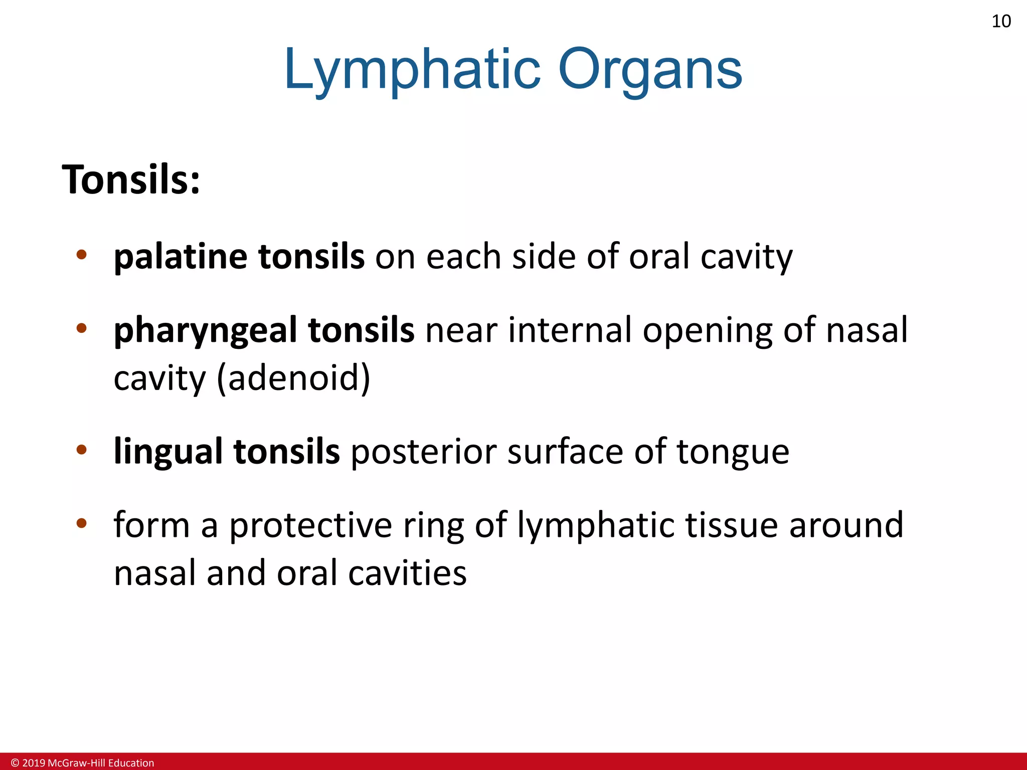 Ch14 lecture ppt_a | PPTX