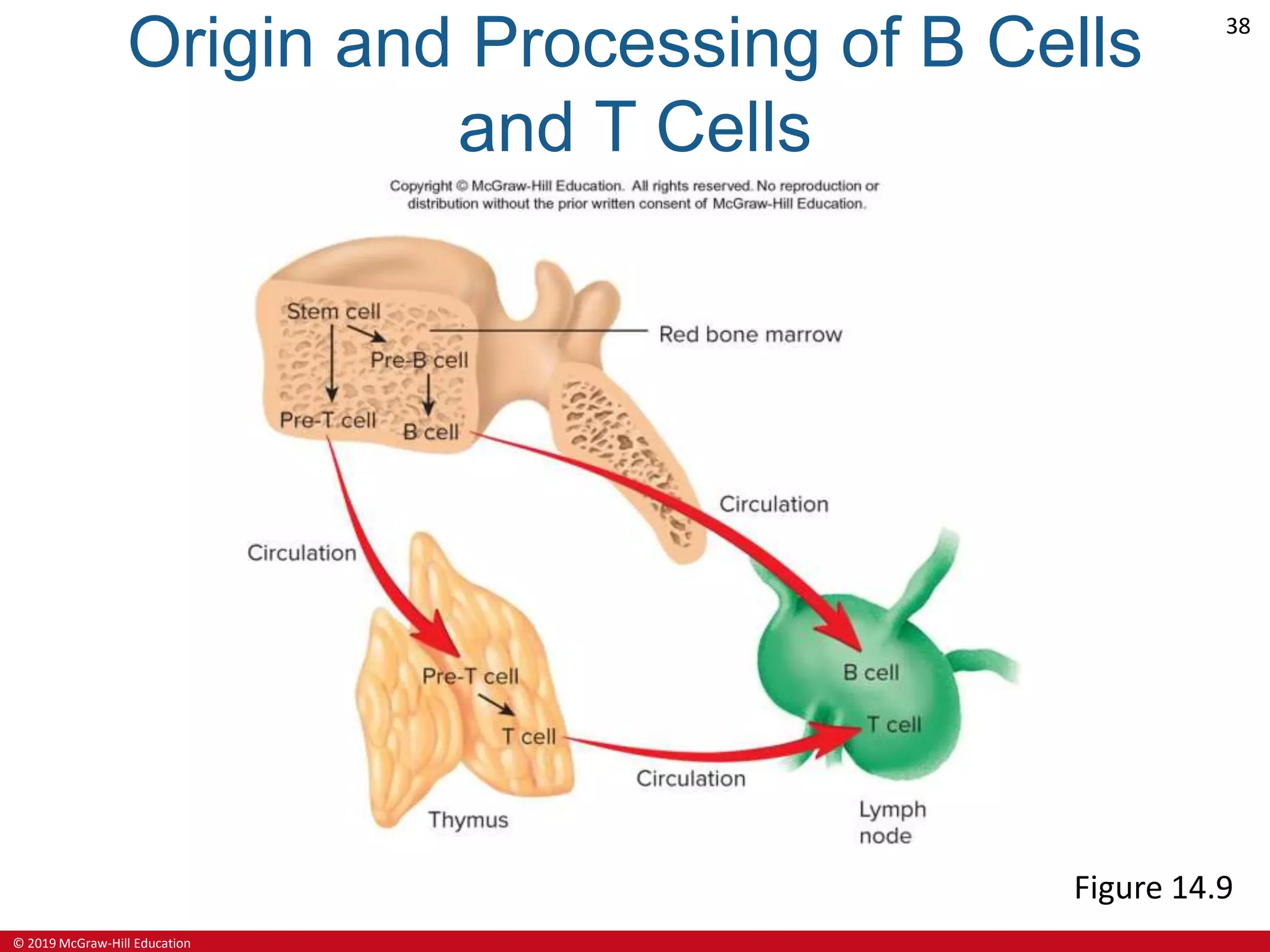 Ch14 lecture ppt_a | PPTX