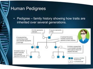 Ch14 notes website | PPT