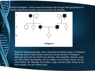 Ch14 notes website | PPT