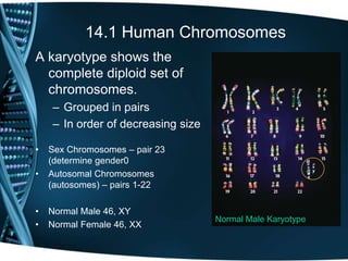 Ch14 notes website | PPT