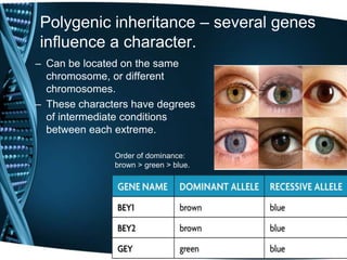 Ch14 notes website | PPT