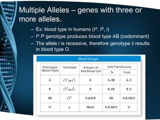 Ch14 notes website | PPT