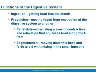Ch14ppt digestive standard | PPT