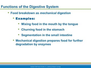 Ch14ppt digestive standard | PPT