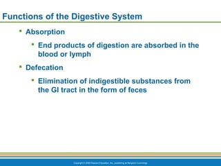 Ch14ppt digestive standard | PPT