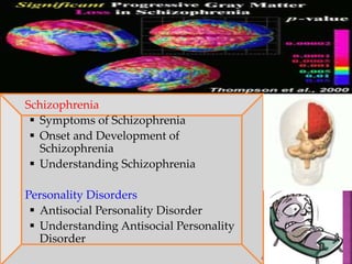 Ch 14 psychological disorders | PPT
