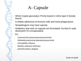 microbial mechanims of pathogenecity | ODP