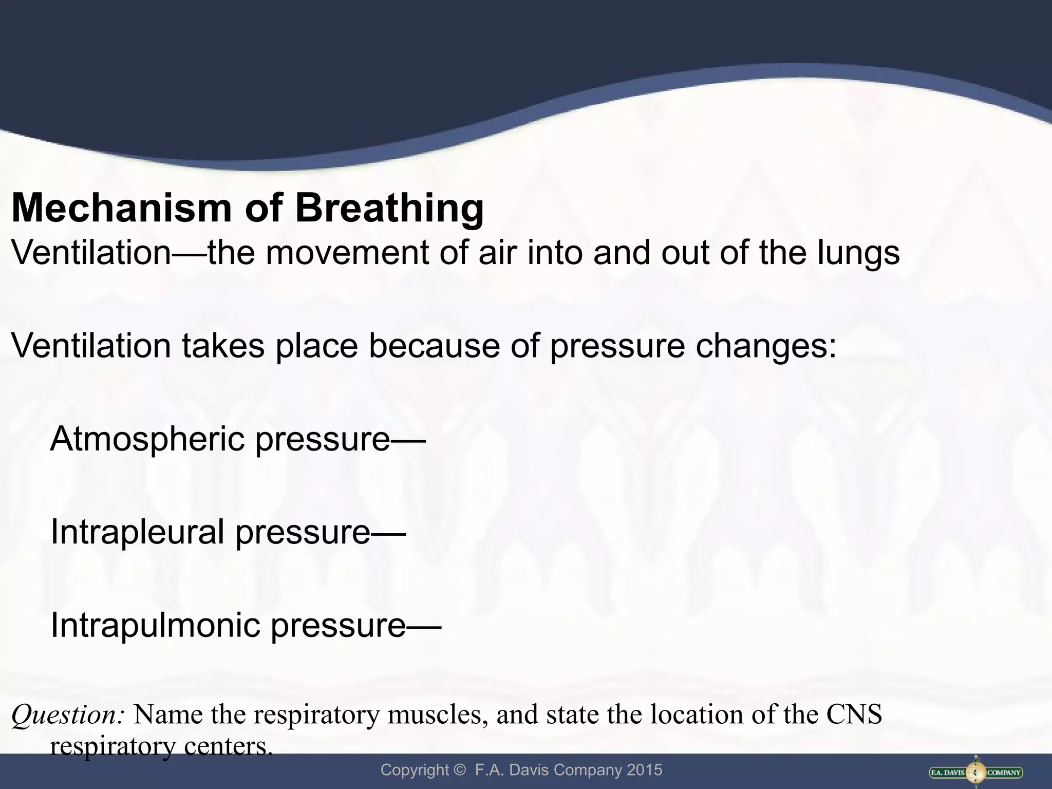 Ch 15 Respiratory System | PPT