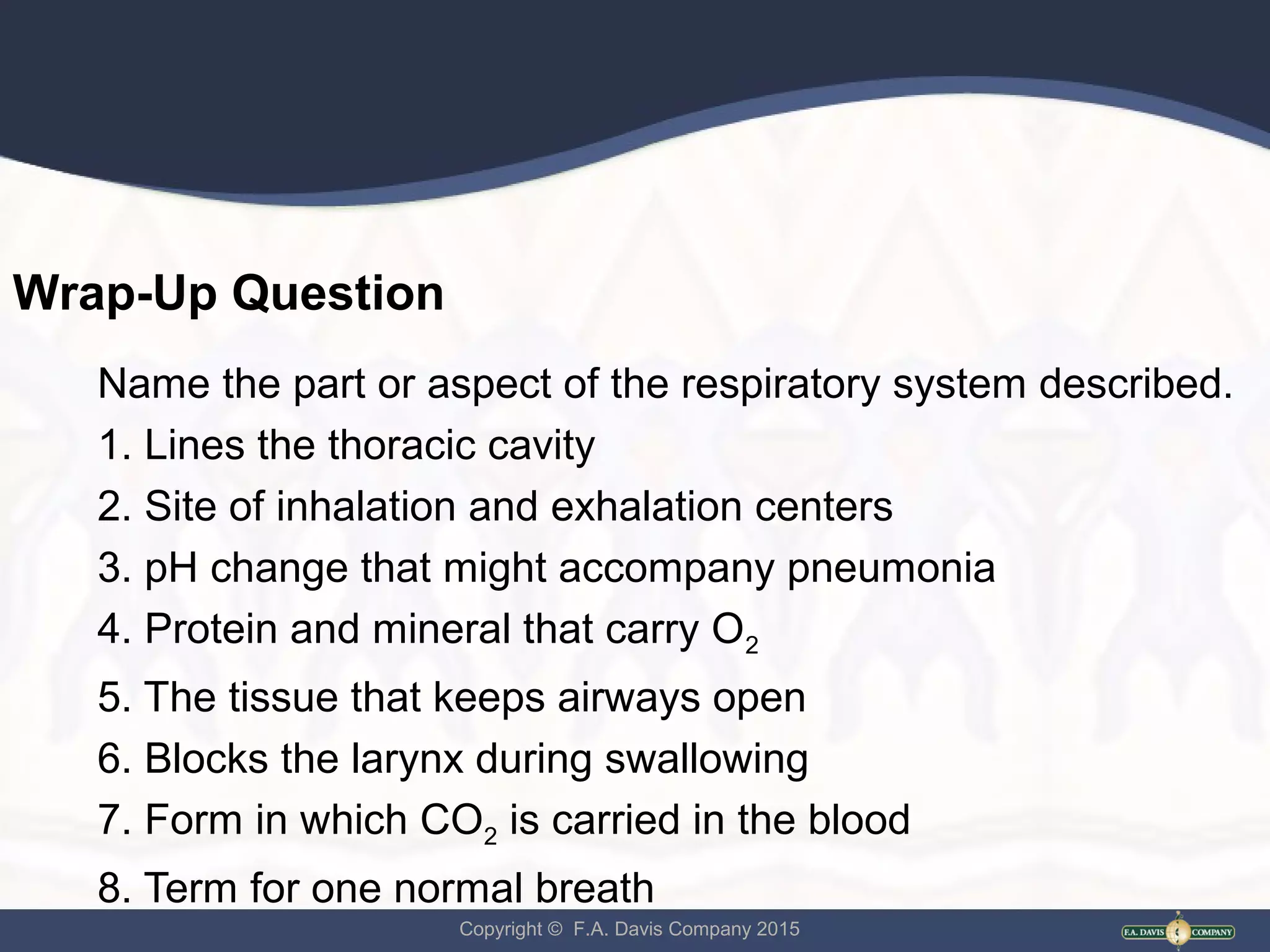 Ch 15 Respiratory System | PPT