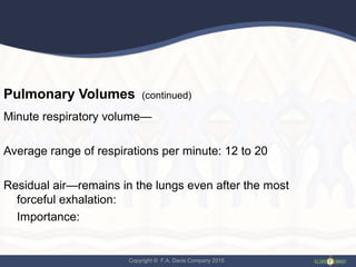 Ch 15 Respiratory System | PPT