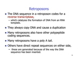 Ch15-2repairtanspose.pdf